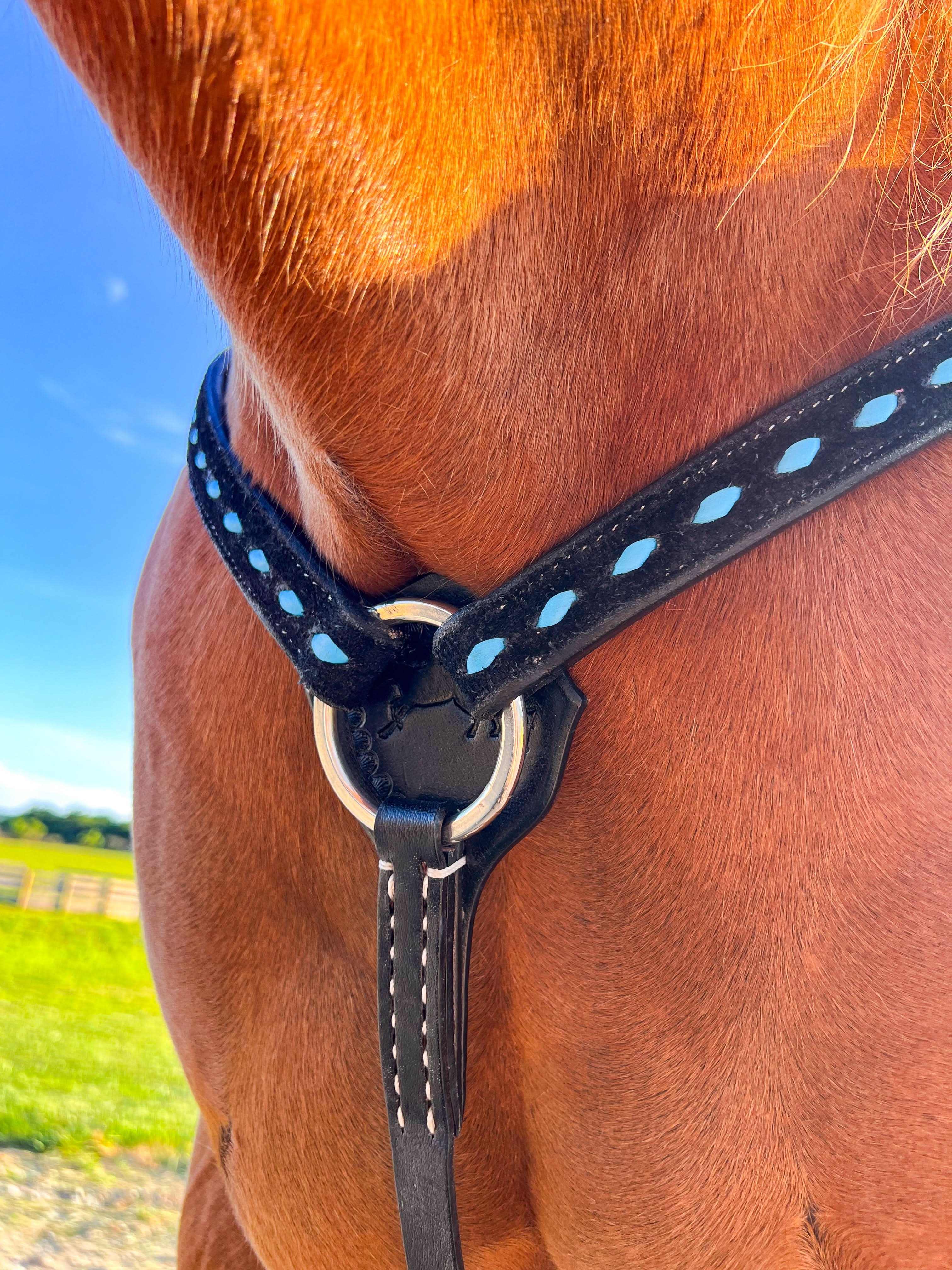 BuckStitch Betty Tack Set Turquoise/Black – Crutcher's Western