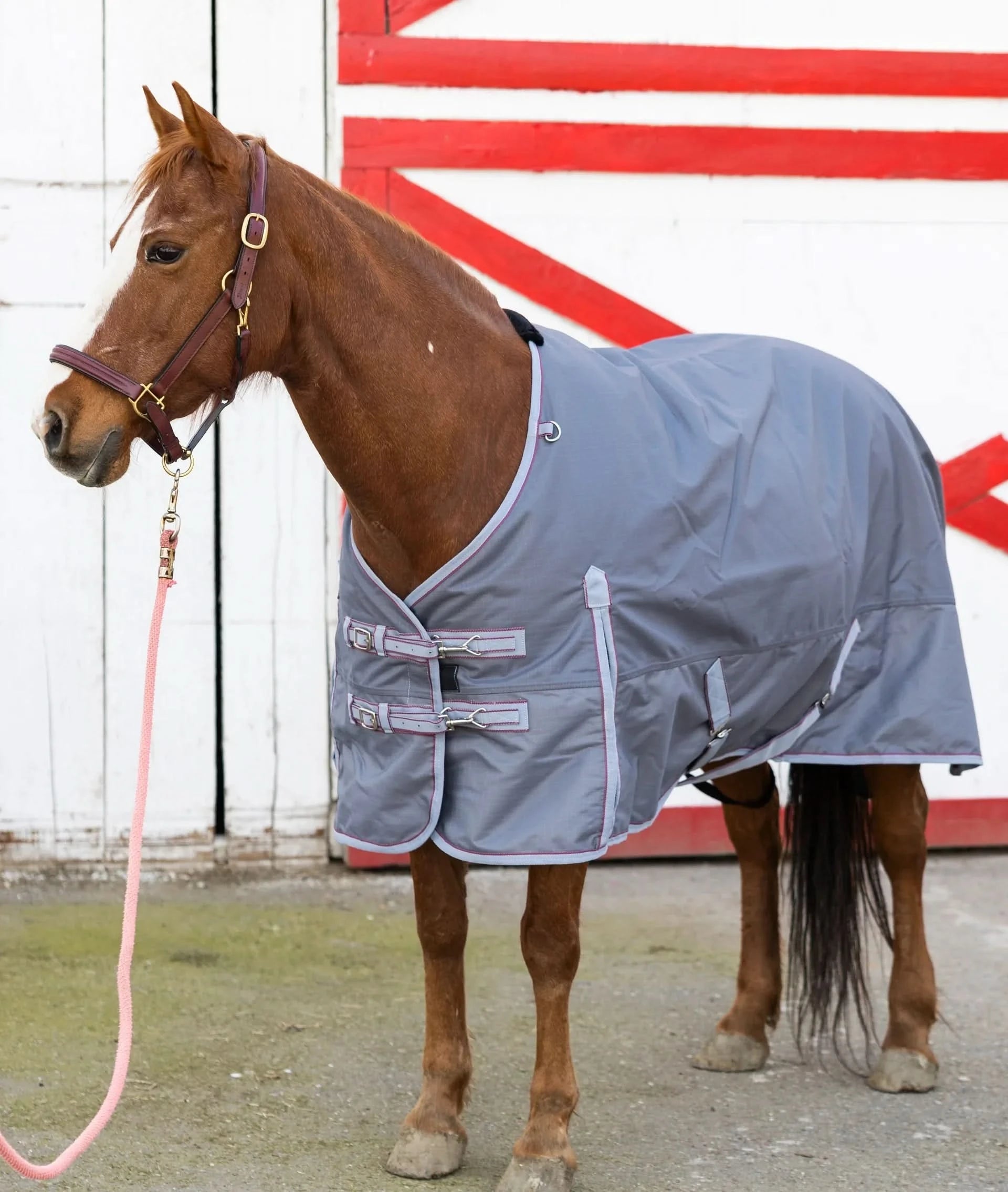 1680D Heavyweight Turnout Stable Blanket – Crutcher's Western